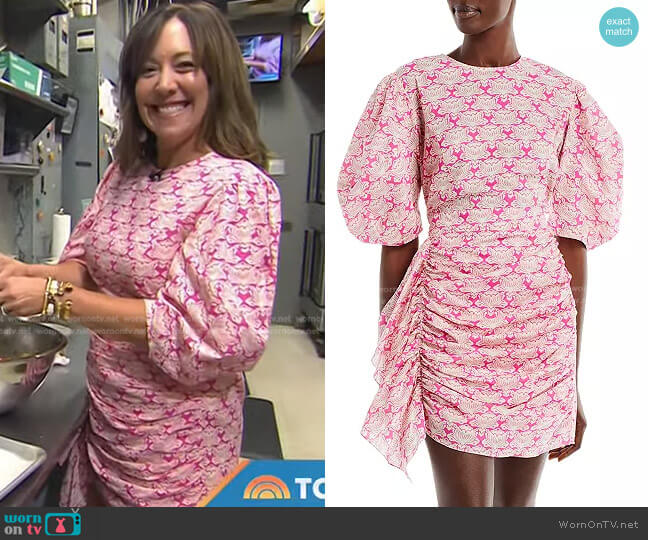 WornOnTV: Elizabeth Heiskell’s pink printed puff sleeve dress on Today ...