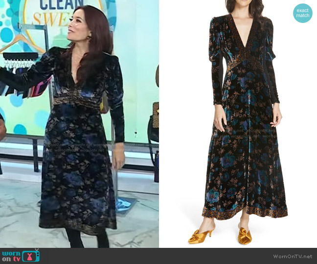 WornOnTV: Amy E. Goodman’s black floral velvet dress on Today | Clothes ...
