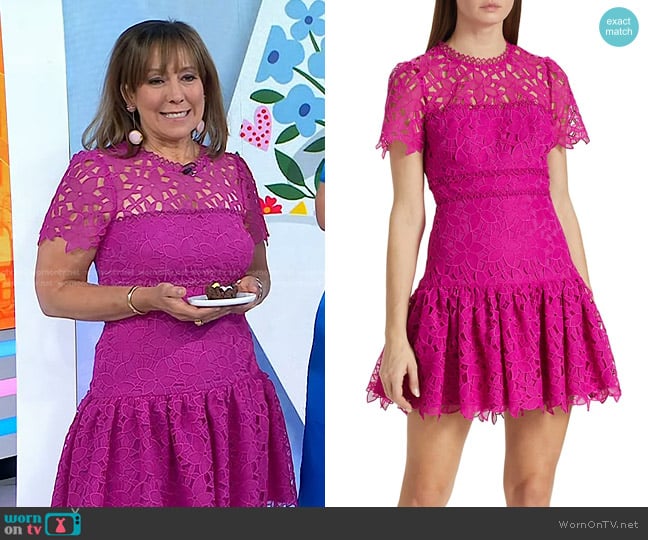 WornOnTV: Elizabeth Gourlay Heiskell’s pink lace mini dress on Today ...