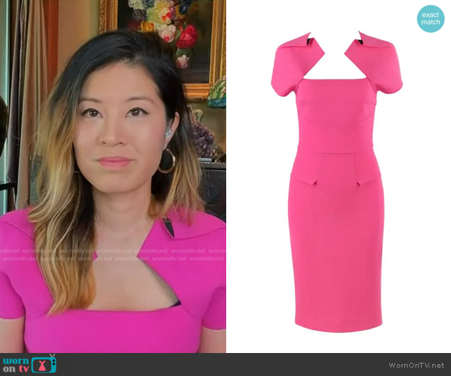 WornOnTV: Angela Cenedella’s pink dress on NBC News Daily | Clothes and ...