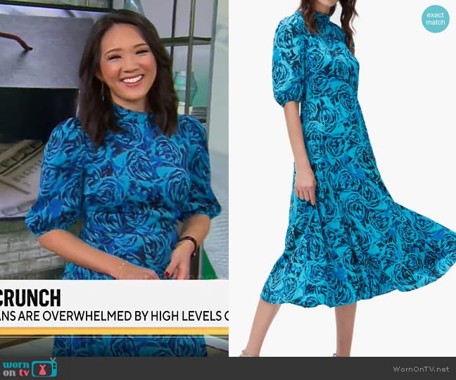 WornOnTV: Nancy Chen’s blue rose print dress on CBS Mornings | Nancy ...