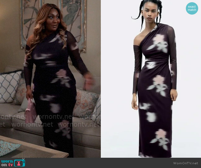 WornOnTV: Danni’s black rose print mesh dress on Tyler Perrys Sistas ...