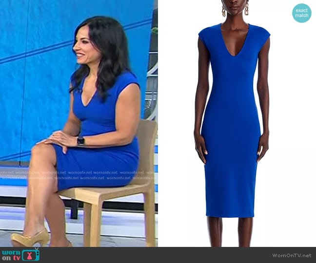 WornOnTV: Dr. Tara Narula’s blue v-neck sheath dress on Today | Clothes ...