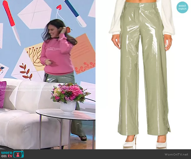 WornOnTV: Donna’s green vinyl pants on Today | Donna Farizan | Clothes ...