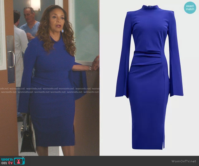 WornOnTV: Catherine’s blue split sleeve sheath dress on Greys Anatomy ...