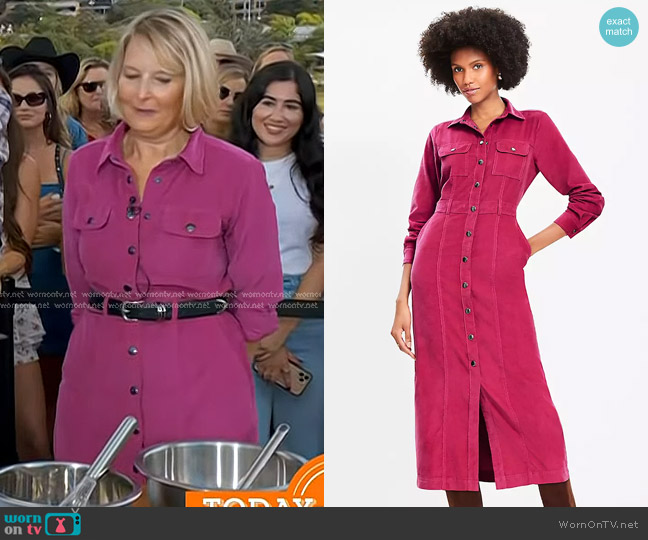 WornOnTV: Noelle Barille’s pink shirtdress on Today | Clothes and ...