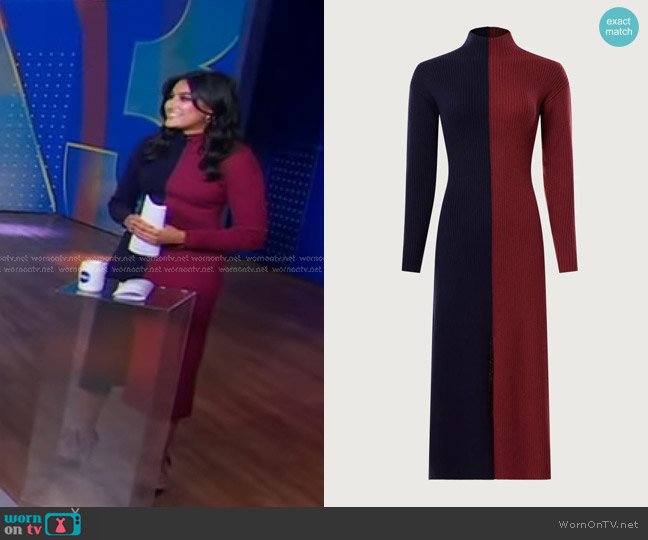WornOnTV: Reena’s colorblock knit dress on Good Morning America | Reena ...