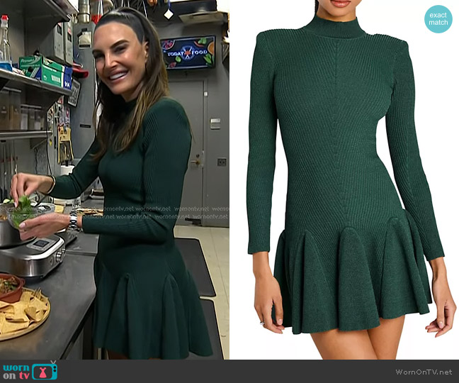 WornOnTV: Elizabeth Chambers’ green mini dress on Today | Clothes and ...