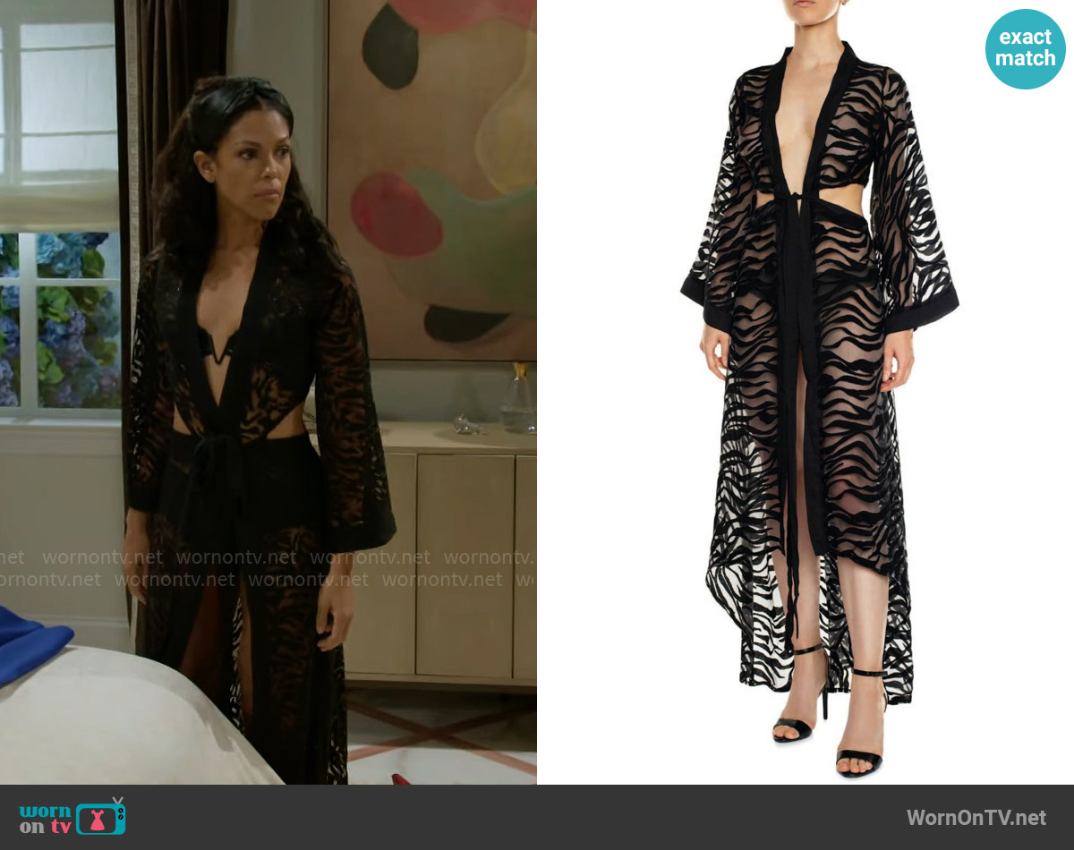 WornOnTV: Dani’s sheer black zebra robe on Beyond the Gates | Karla ...