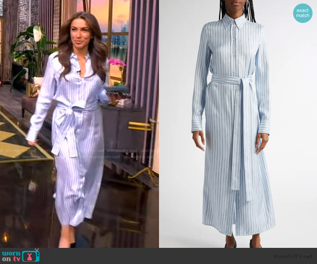 WornOnTV: Alyssa’s blue stripe shirtdress on The View | Alyssa Farah Griffin | Clothes and ...