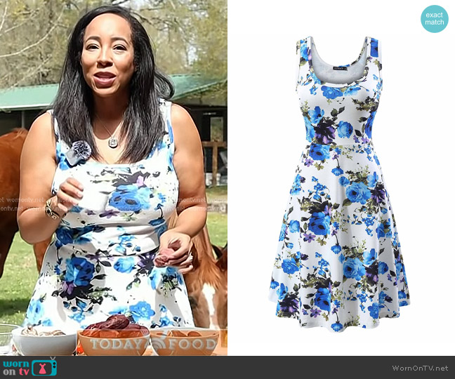 WornOnTV: Erica Roby’s white and blue floral dress on Today | Clothes ...