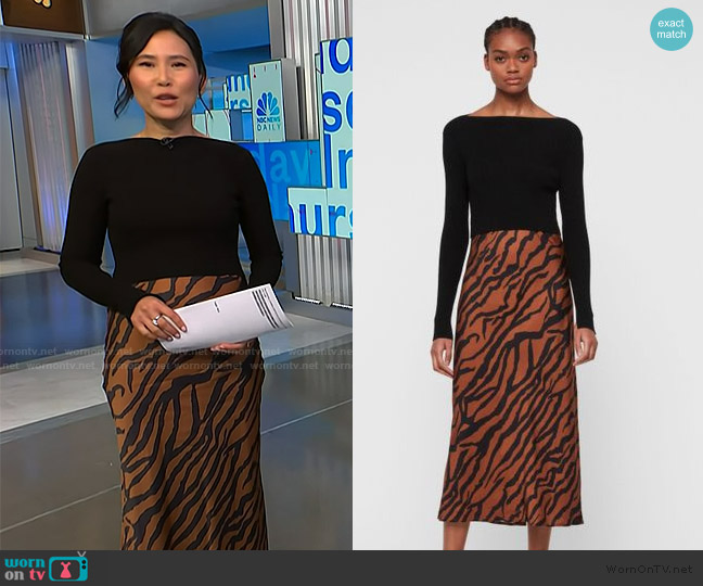 WornOnTV: Vicky’s zebra stripe colorblock dress on NBC News Daily ...
