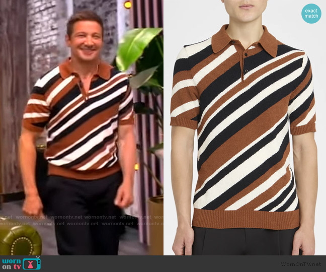 WornOnTV: Jeremy Renner’s striped polo shirt on The View | Clothes and ...