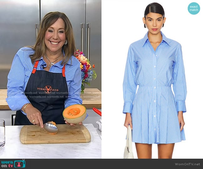WornOnTV: Elizabeth Heiskell’s blue stripe shirtdress on Today ...