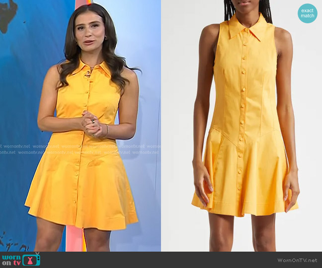 WornOnTV: Angie Lassman’s yellow sleeveless mini shirtdress on Today ...
